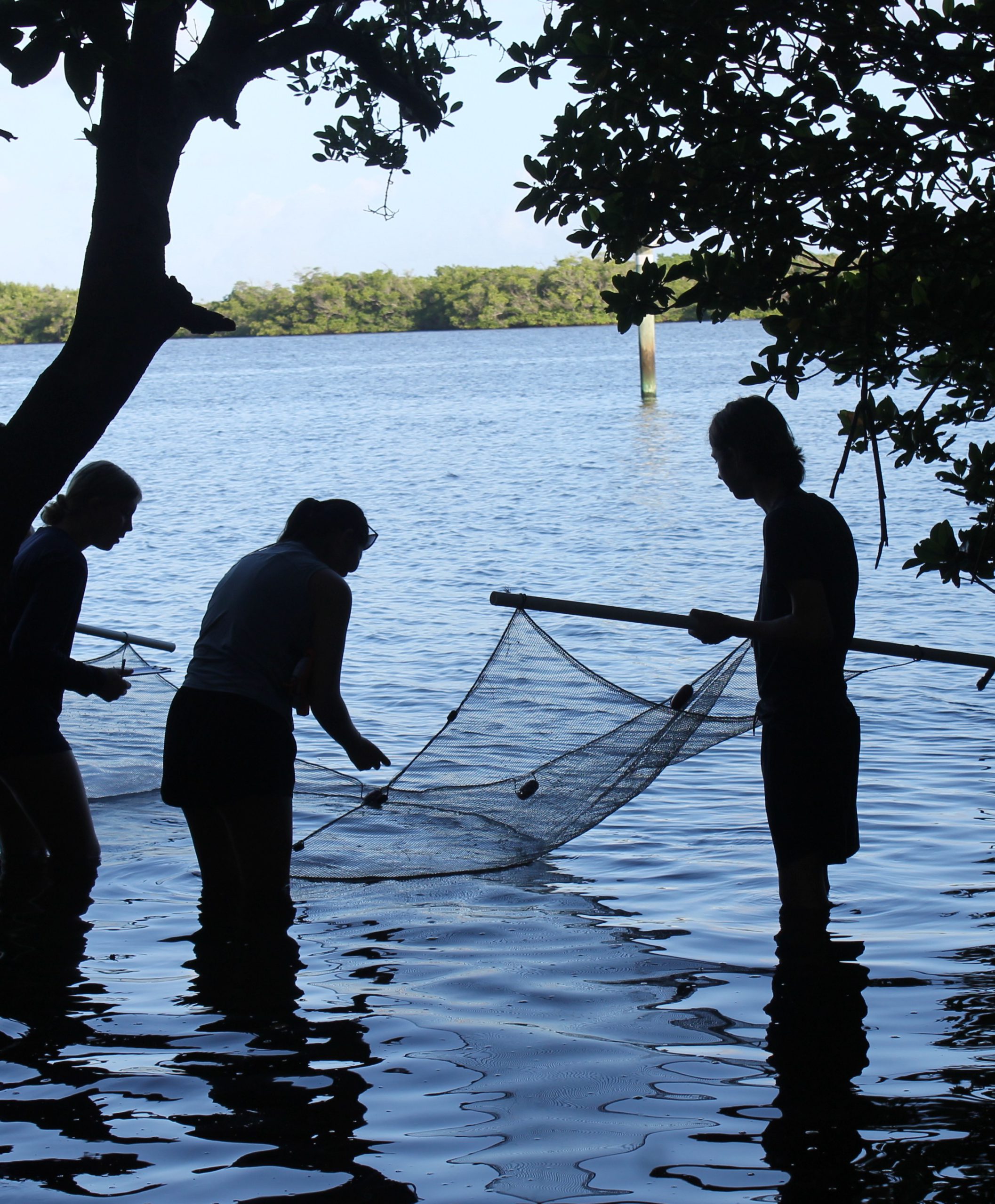 A Day in the Life Resources - Team ORCA